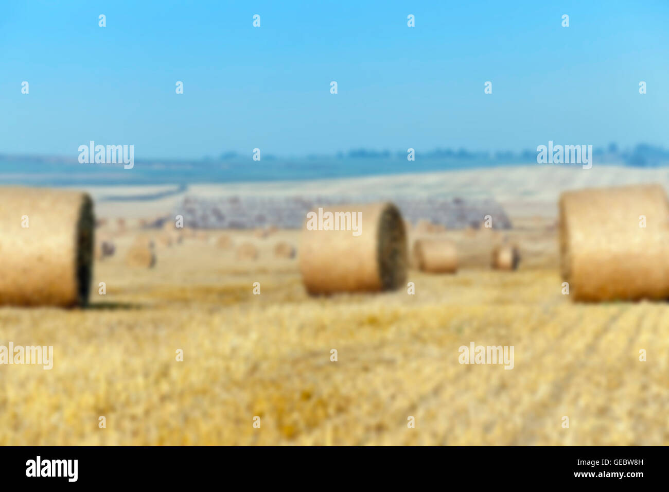 haystacks in a field of straw Stock Photo - Alamy