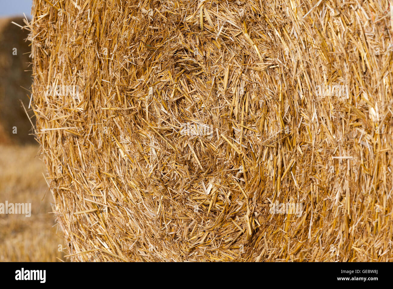 background stack of straw Stock Photo - Alamy