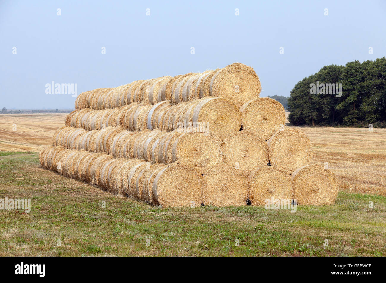stack of wheat straw Stock Photo - Alamy