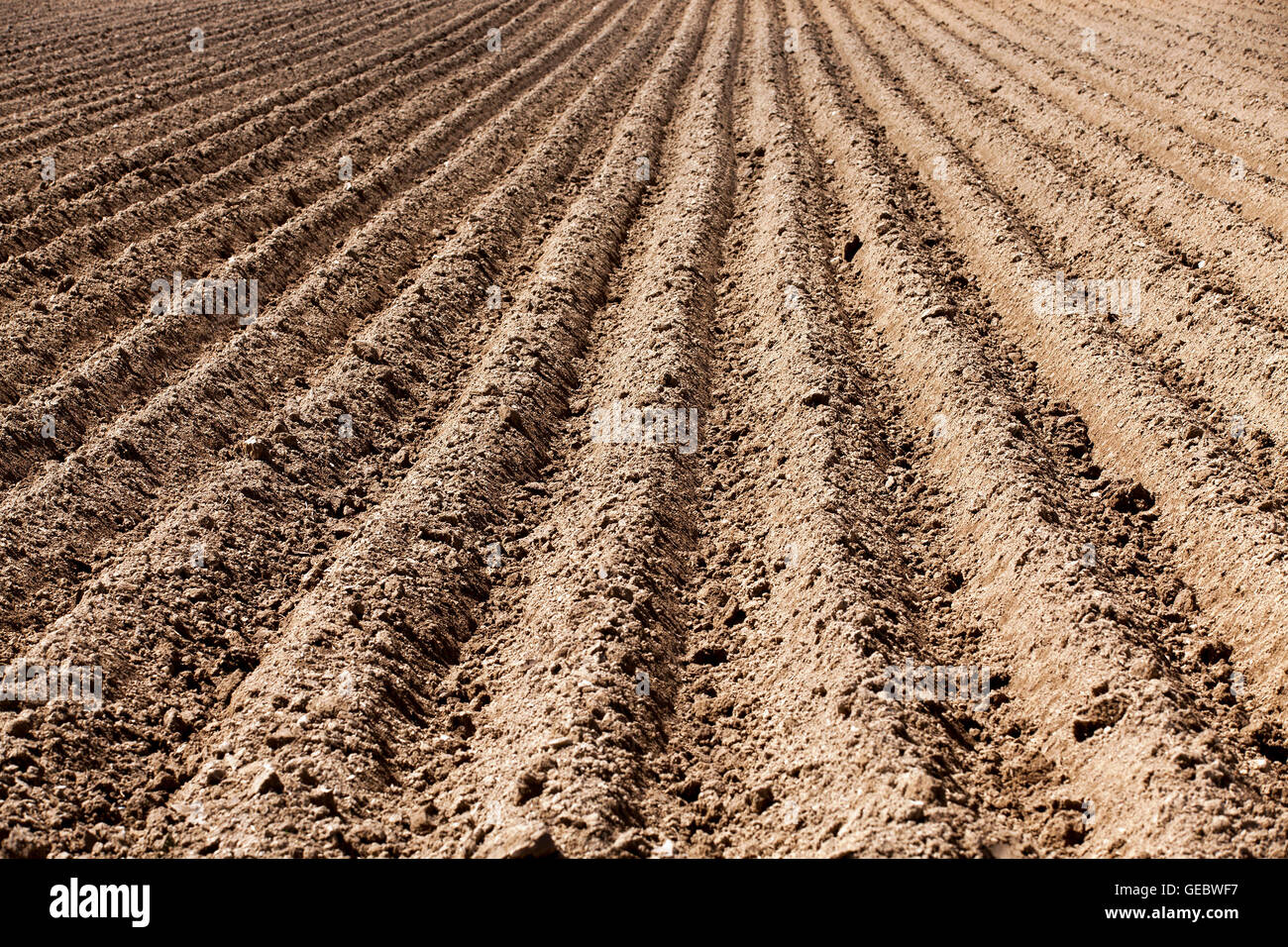 Land furrows hi-res stock photography and images - Alamy