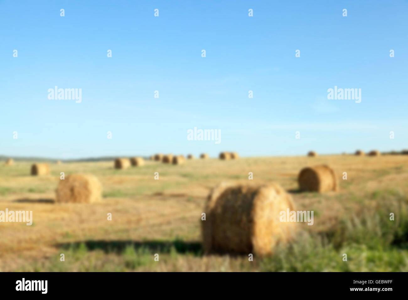 haystacks in a field of straw Stock Photo - Alamy