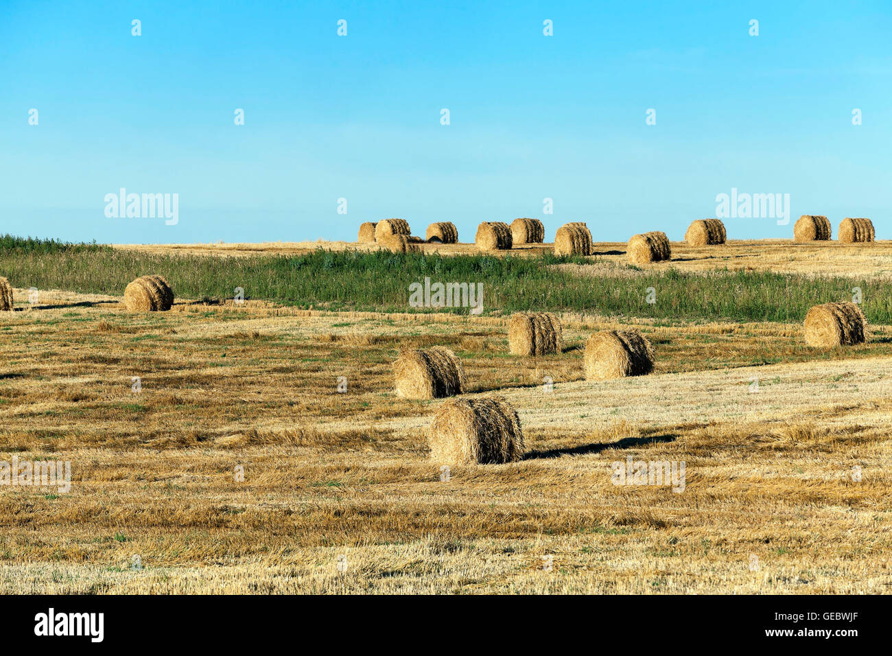 stack of straw in the field Stock Photo - Alamy