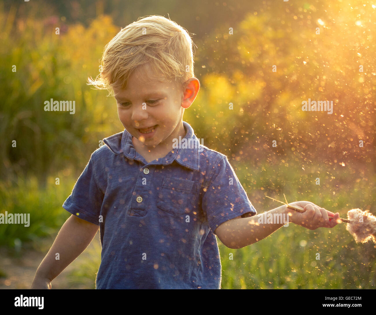 Boy Playing in Summer Sun Stock Photo - Alamy