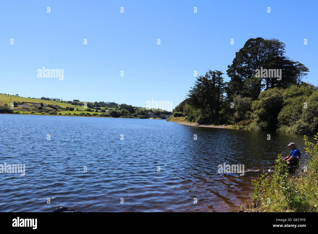 A coarse angler feeder fishing for bream and roach in Inniscarra ...