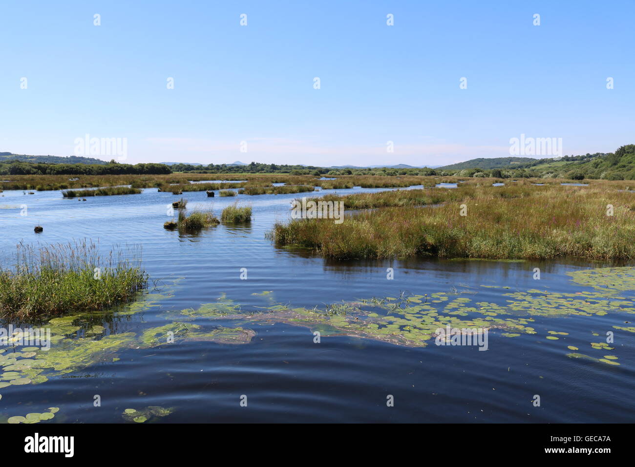 Macroom hi-res stock photography and images - Alamy