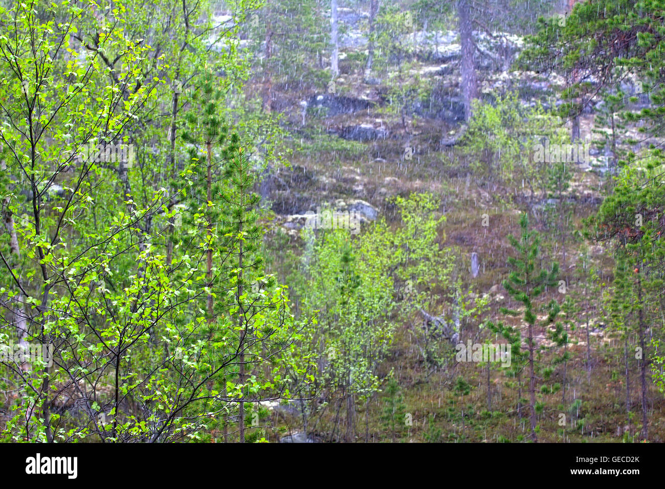 Sunshower hi-res stock photography and images - Alamy