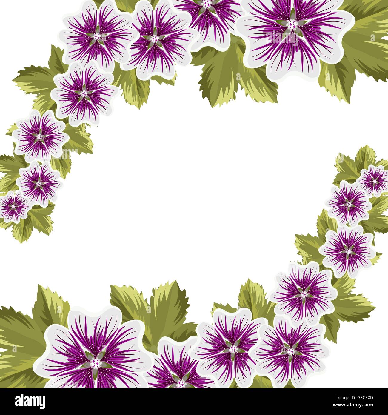 Beautiful mallow flowers with leaves Stock Vector Image & Art - Alamy