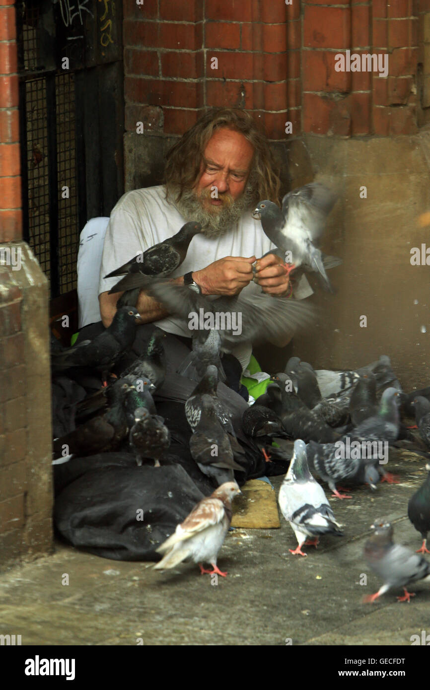 Homeless man with pigeons hi-res stock photography and images - Alamy
