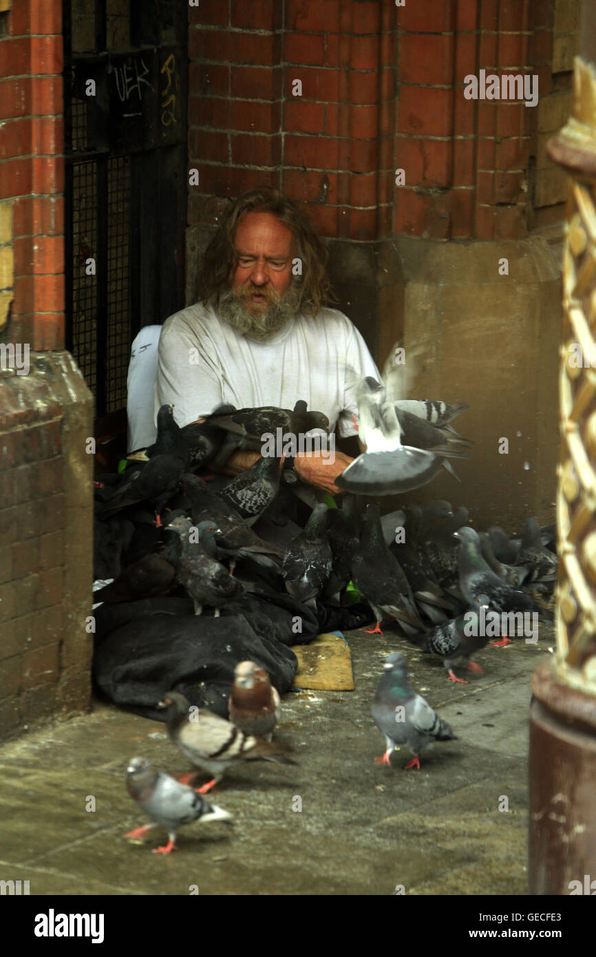 Homeless man with pigeons hi-res stock photography and images - Alamy
