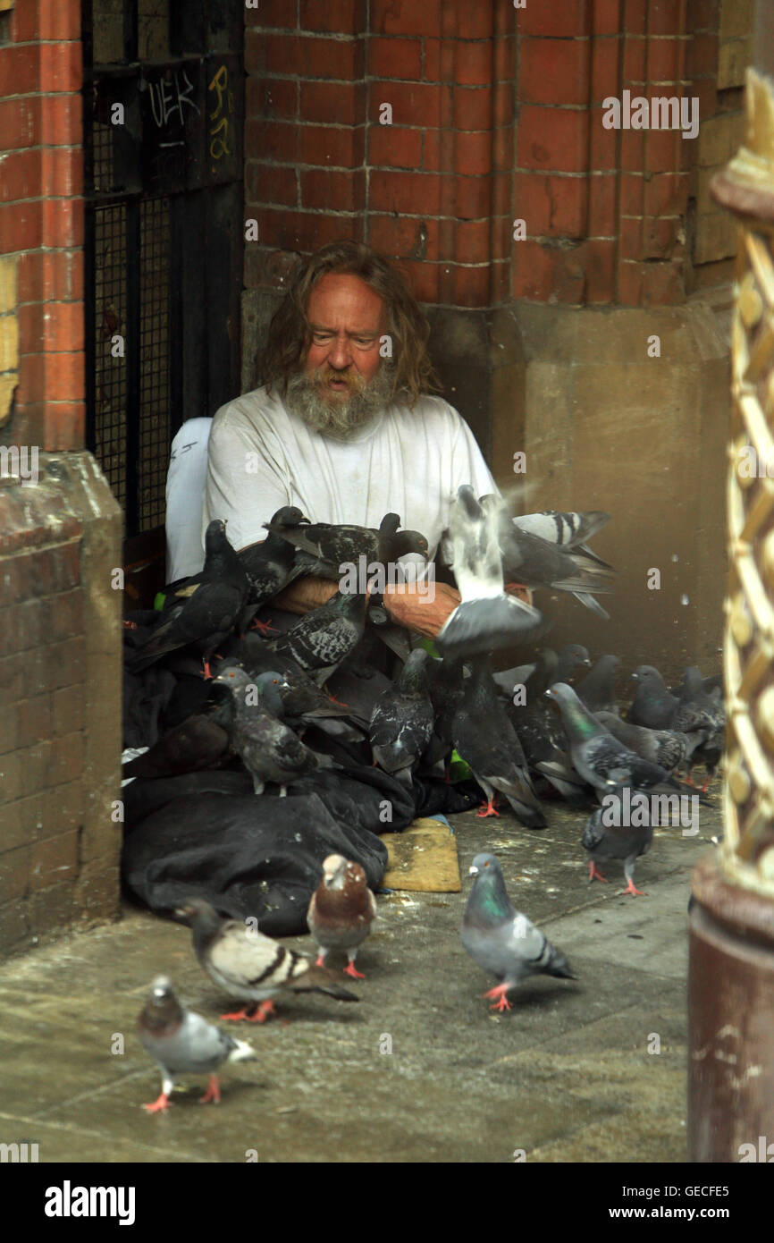 Homeless man with pigeons hi-res stock photography and images - Alamy