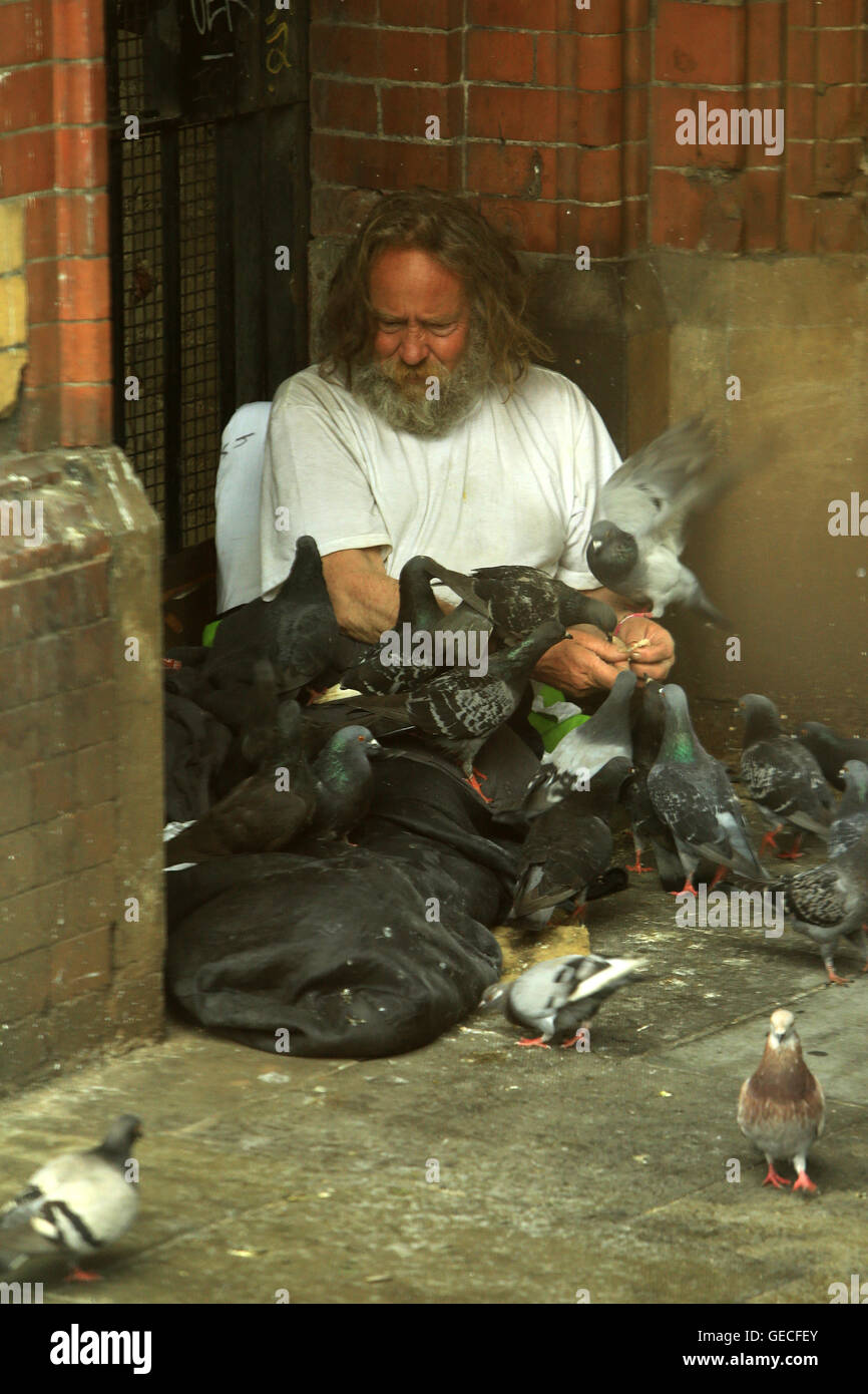 Homeless man with pigeons hi-res stock photography and images - Alamy
