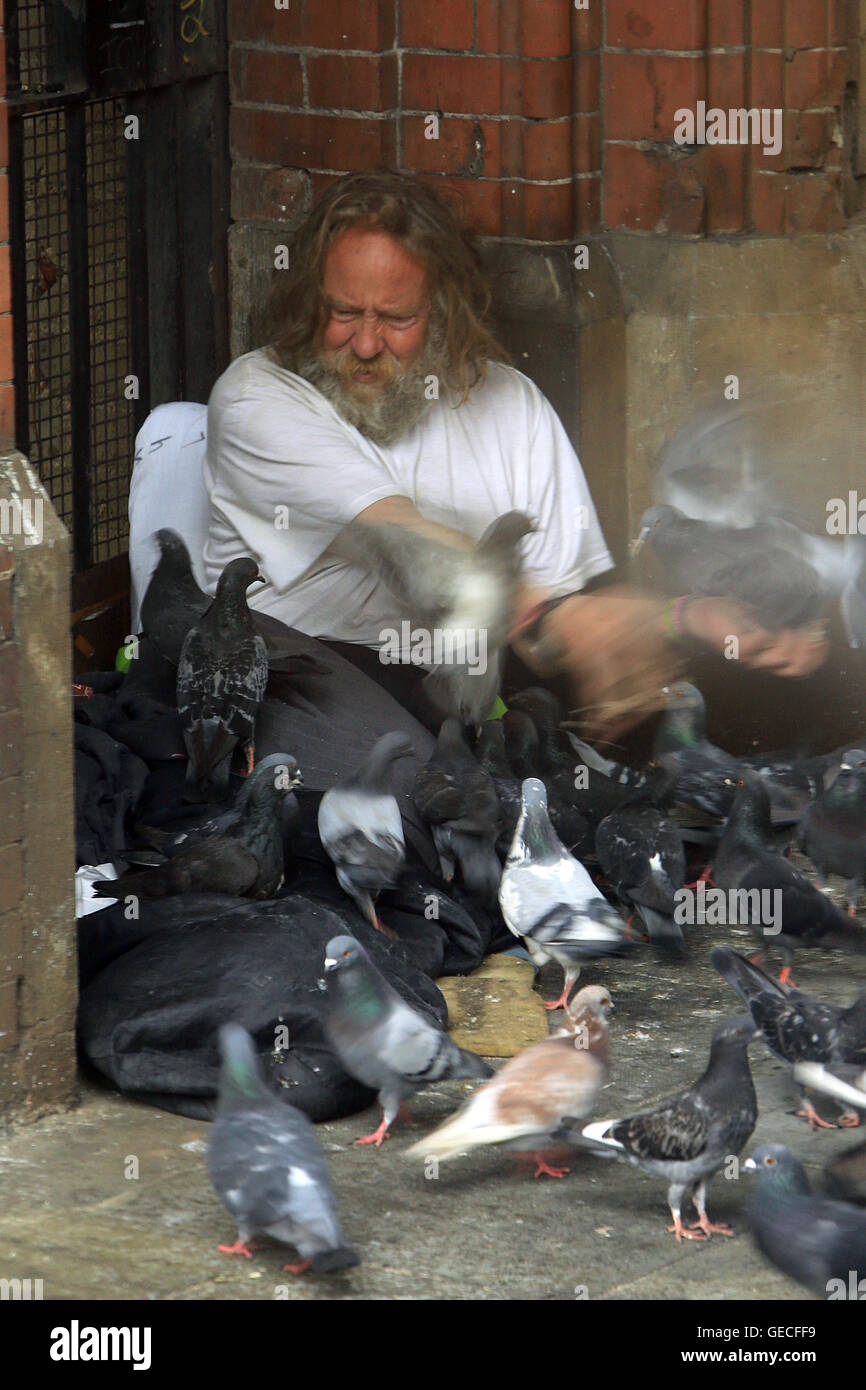 A homeless man feeds pigeons while sleeping rough under a bridge in a ...