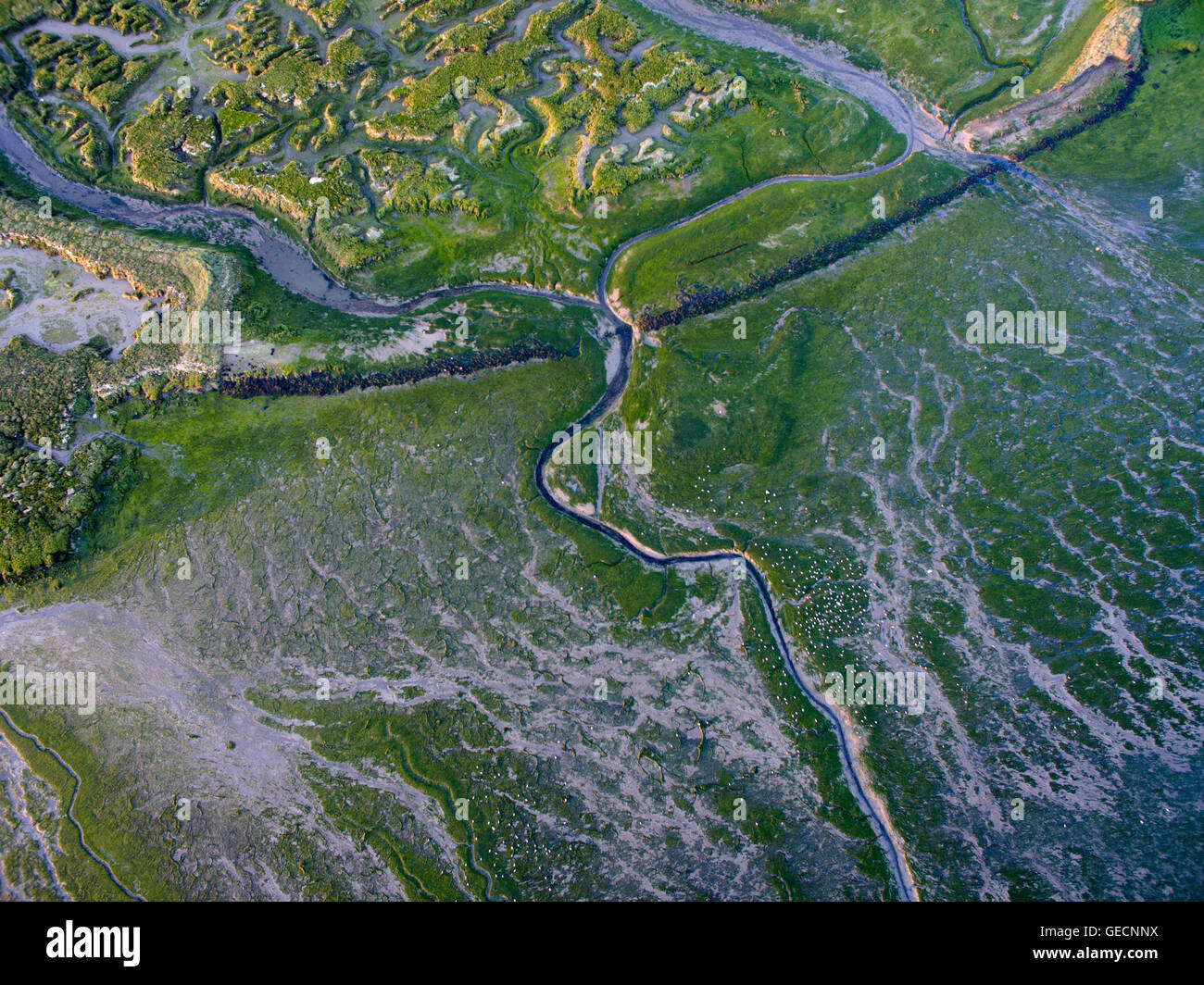 Aerial view of salt marshes Stock Photo - Alamy