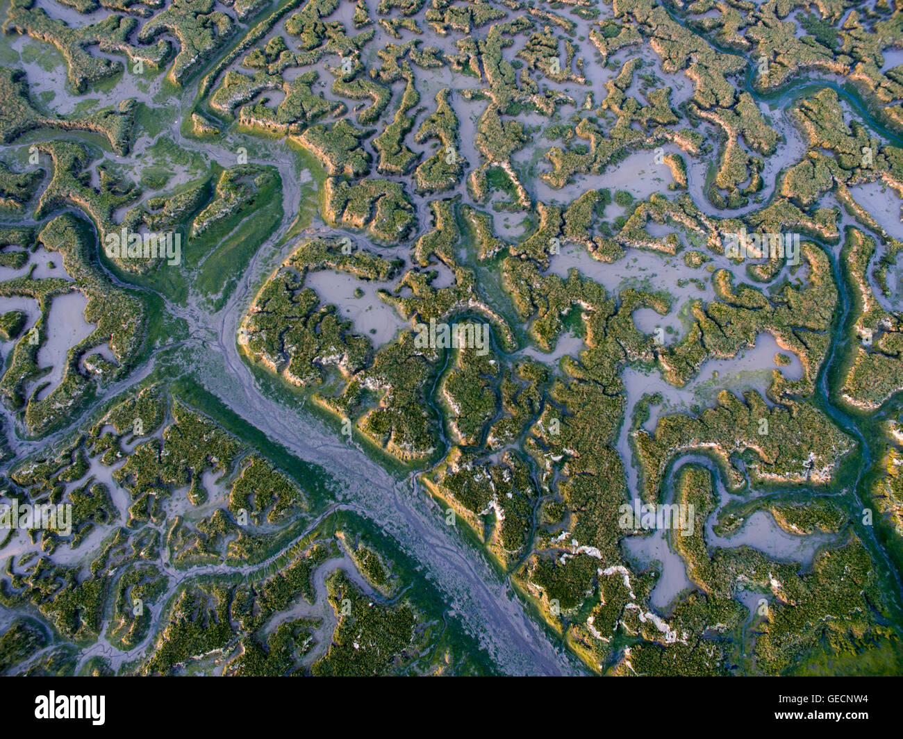 Salt Marsh Aerial Stock Photos & Salt Marsh Aerial Stock Images - Alamy