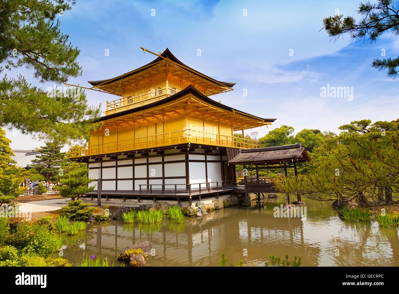 Golden pavilion Kyoto, Kinkaku-ji Stock Photo - Alamy