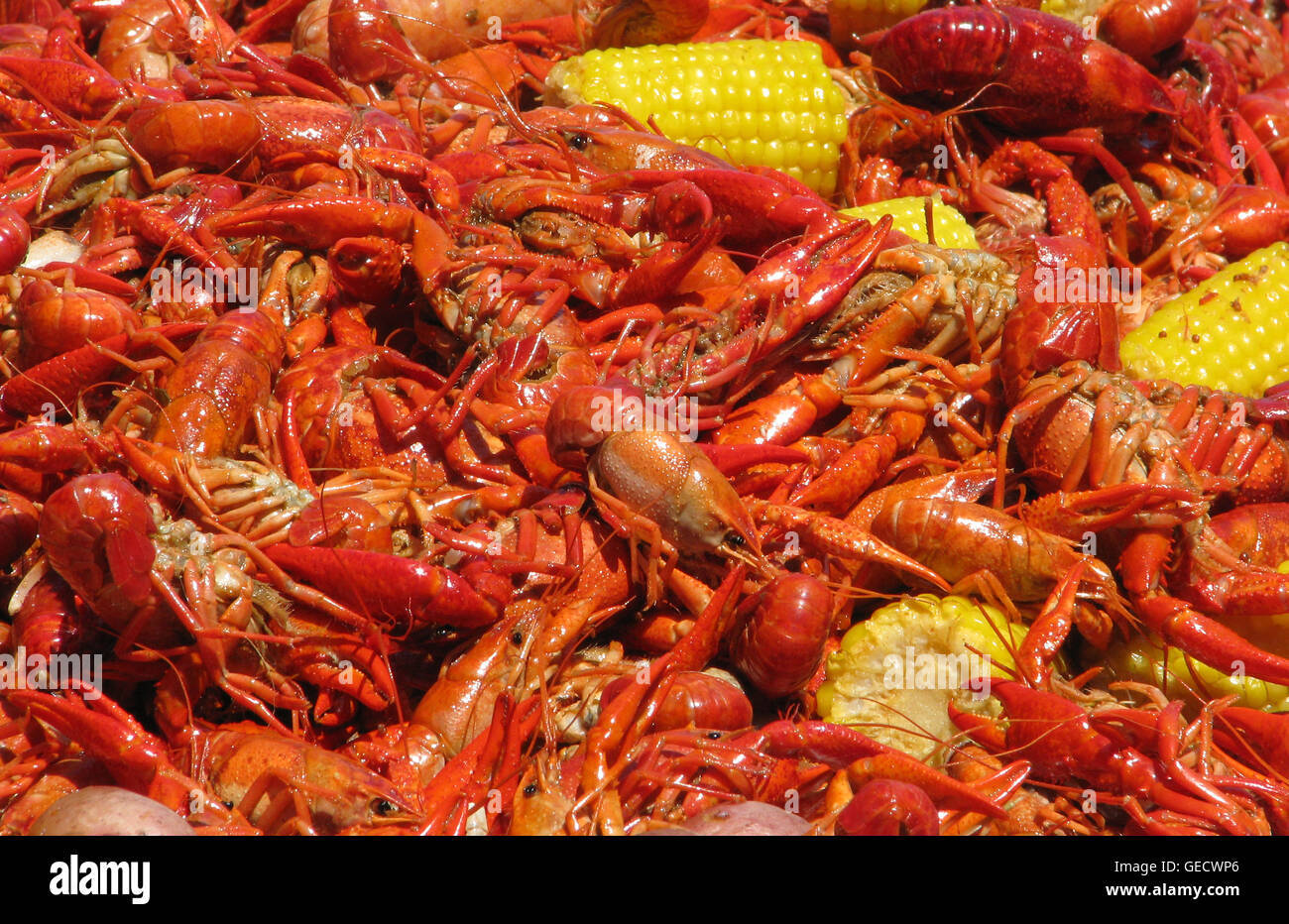 Crawfish and corn spread out on a table Stock Photo - Alamy