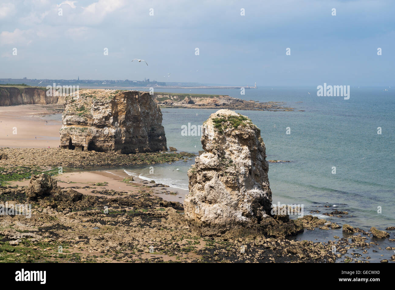 Marsden Rock and another sea stack, Tyne and Wear, England, UK Stock ...
