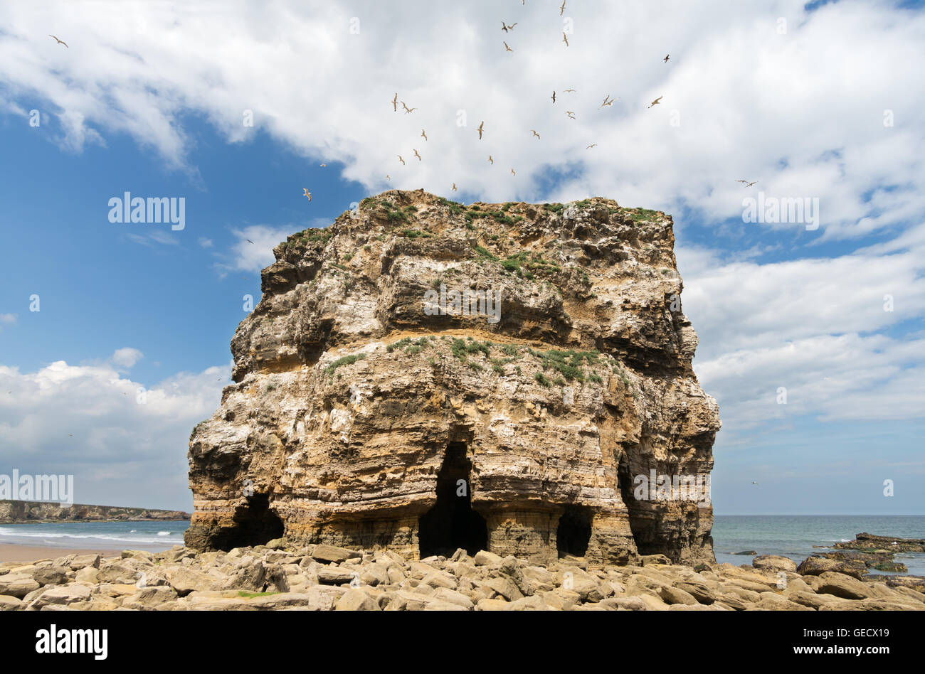 Marsden Rock, Tyne and Wear, England, UK Stock Photo - Alamy