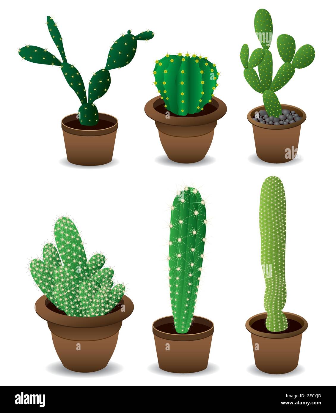 Spiked cactus Stock Vector Images - Alamy