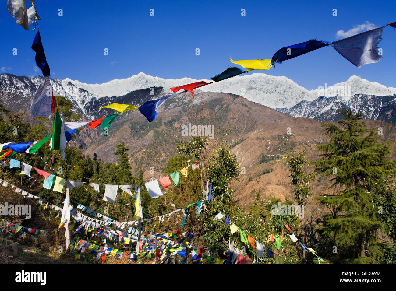 Tibetan prayer flags in Lhagyal Ri, near Tsuglagkhang complex,McLeod ...