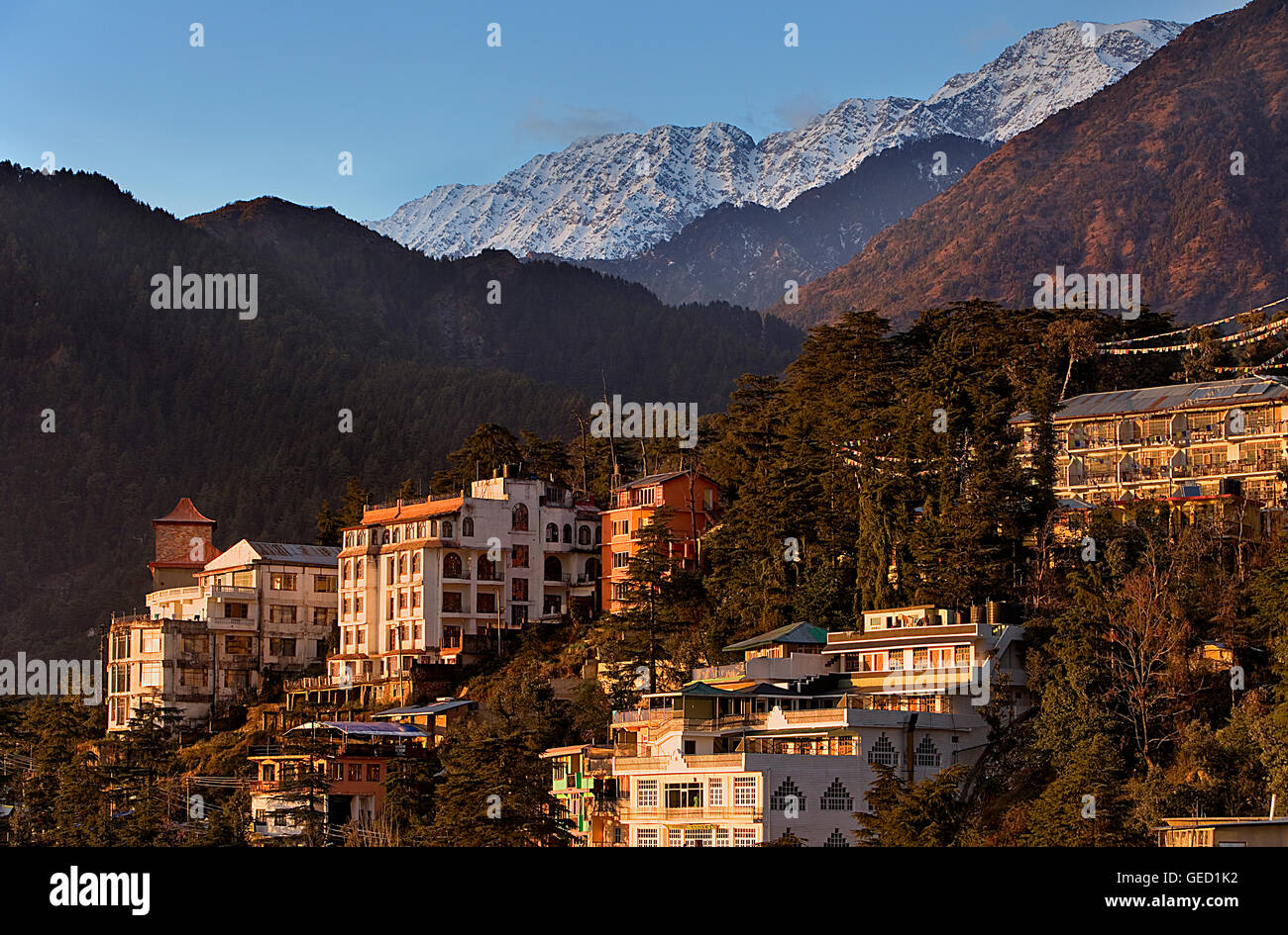 McLeod Ganj, Dharamsala, Himachal Pradesh state, India, Asia Stock ...