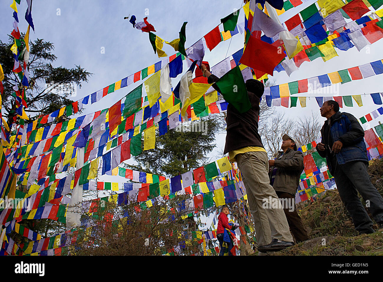 People during Losar, new year, hanging Tibetan prayer flags in Lhagyal ...