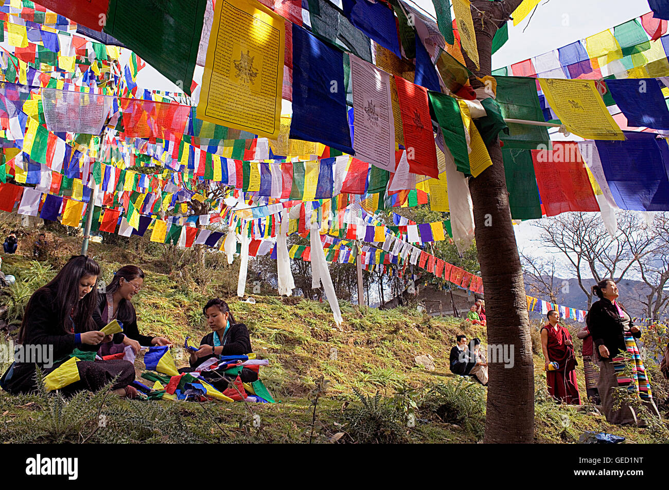 People during Losar, new year, hanging Tibetan prayer flags in Lhagyal ...