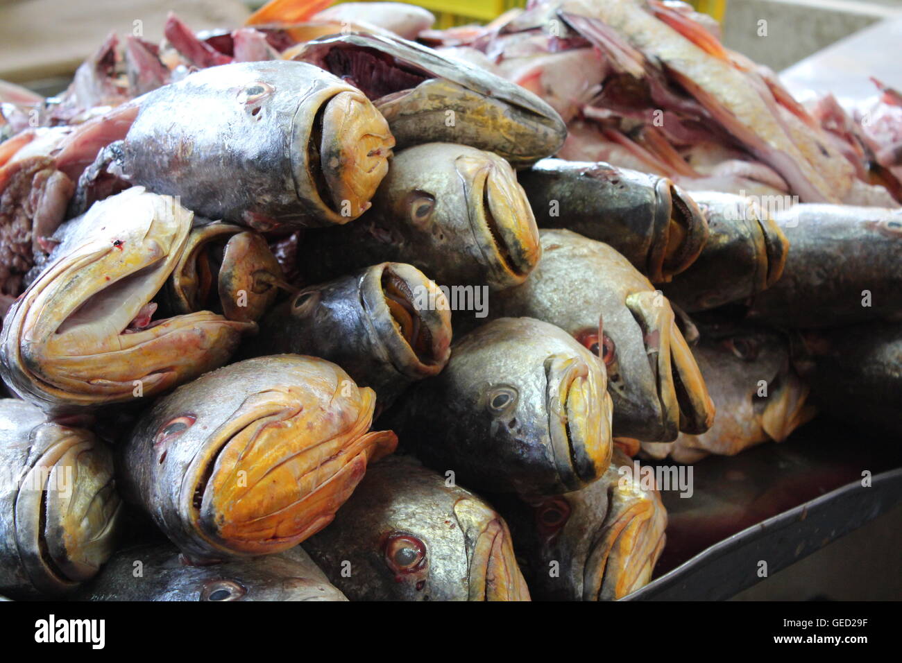 Fish Market, Fresh Fish Stock Photo - Alamy