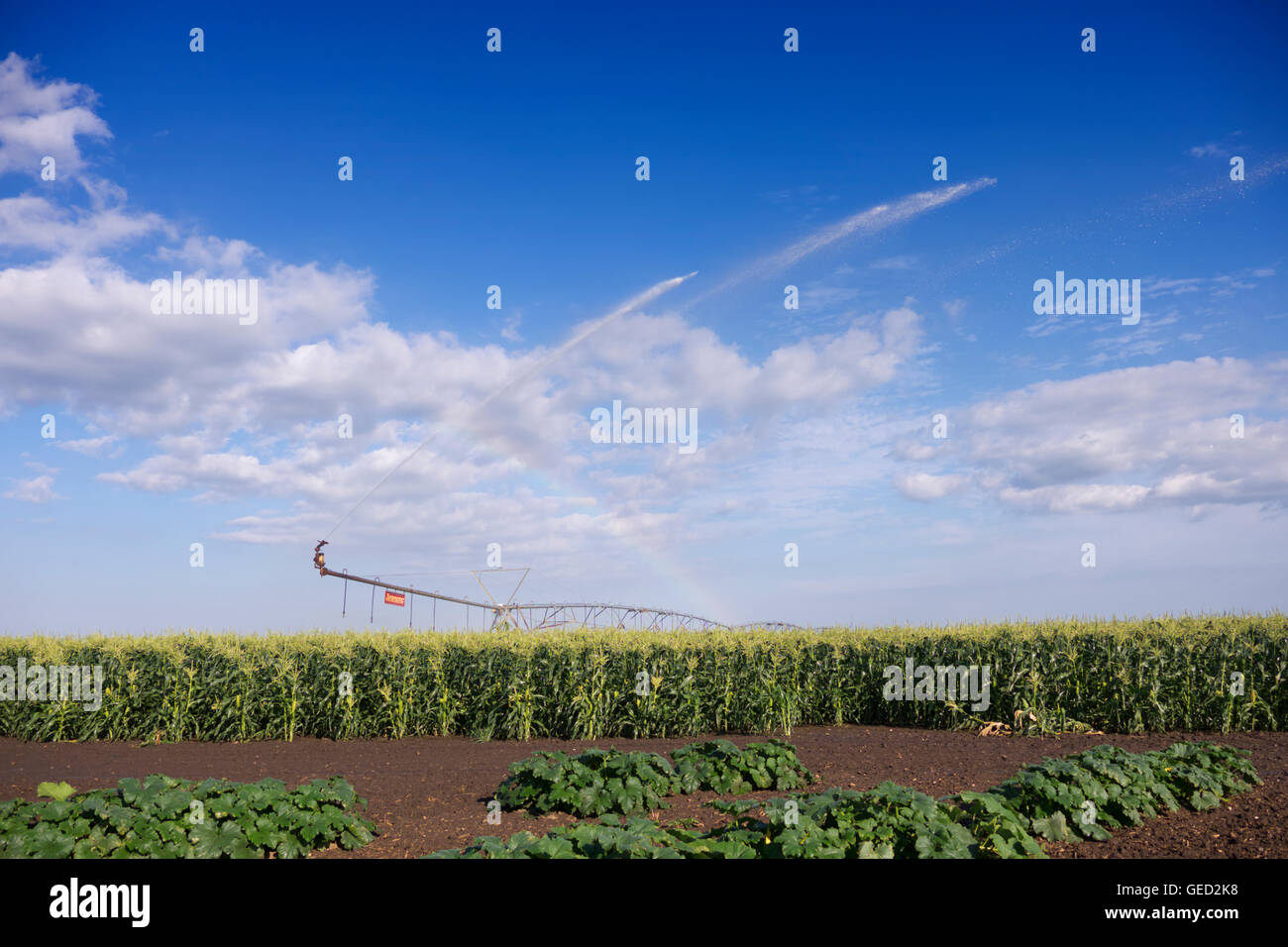 Center pivot irrigation corn hi-res stock photography and images - Alamy