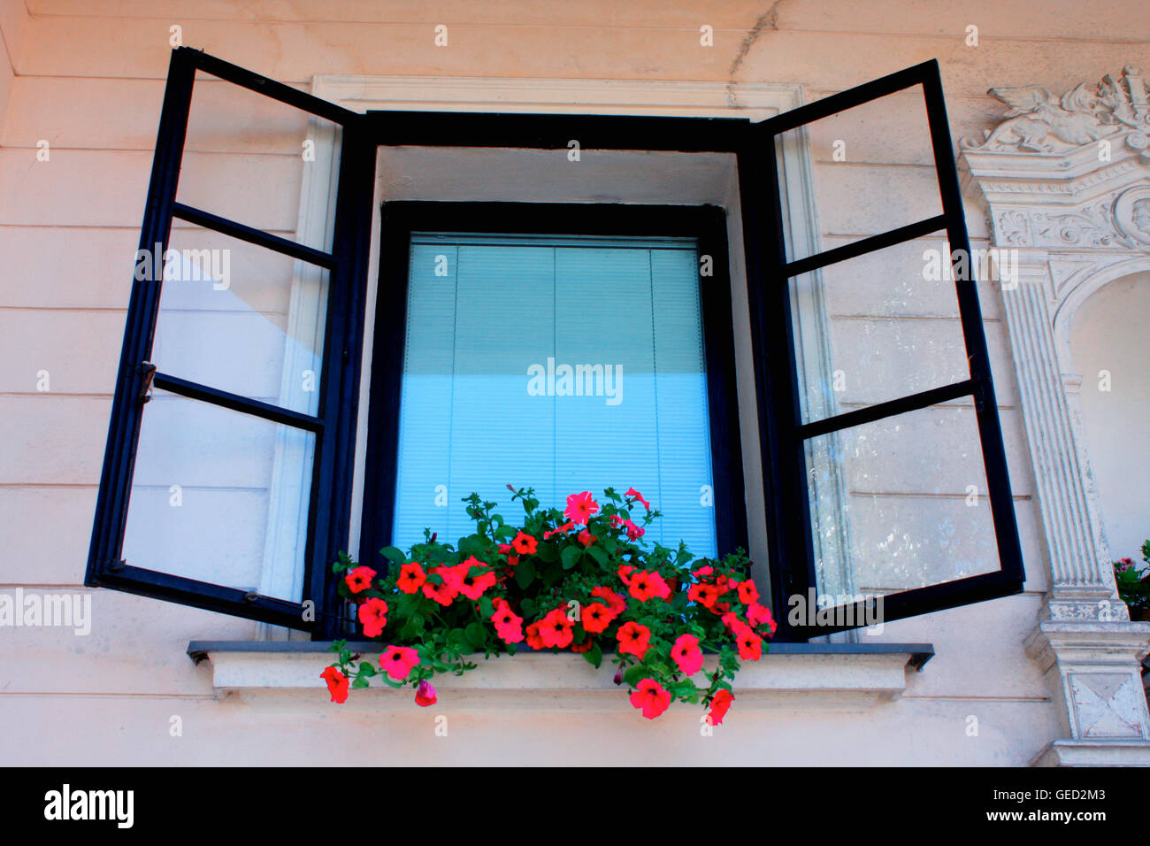 vintage black window with flower box Stock Photo - Alamy