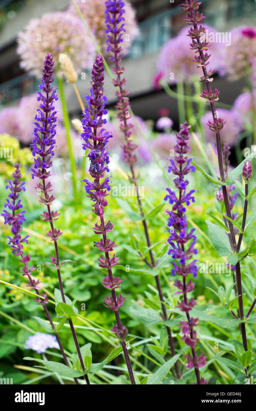 Nigel dunnett barbican hi-res stock photography and images - Alamy