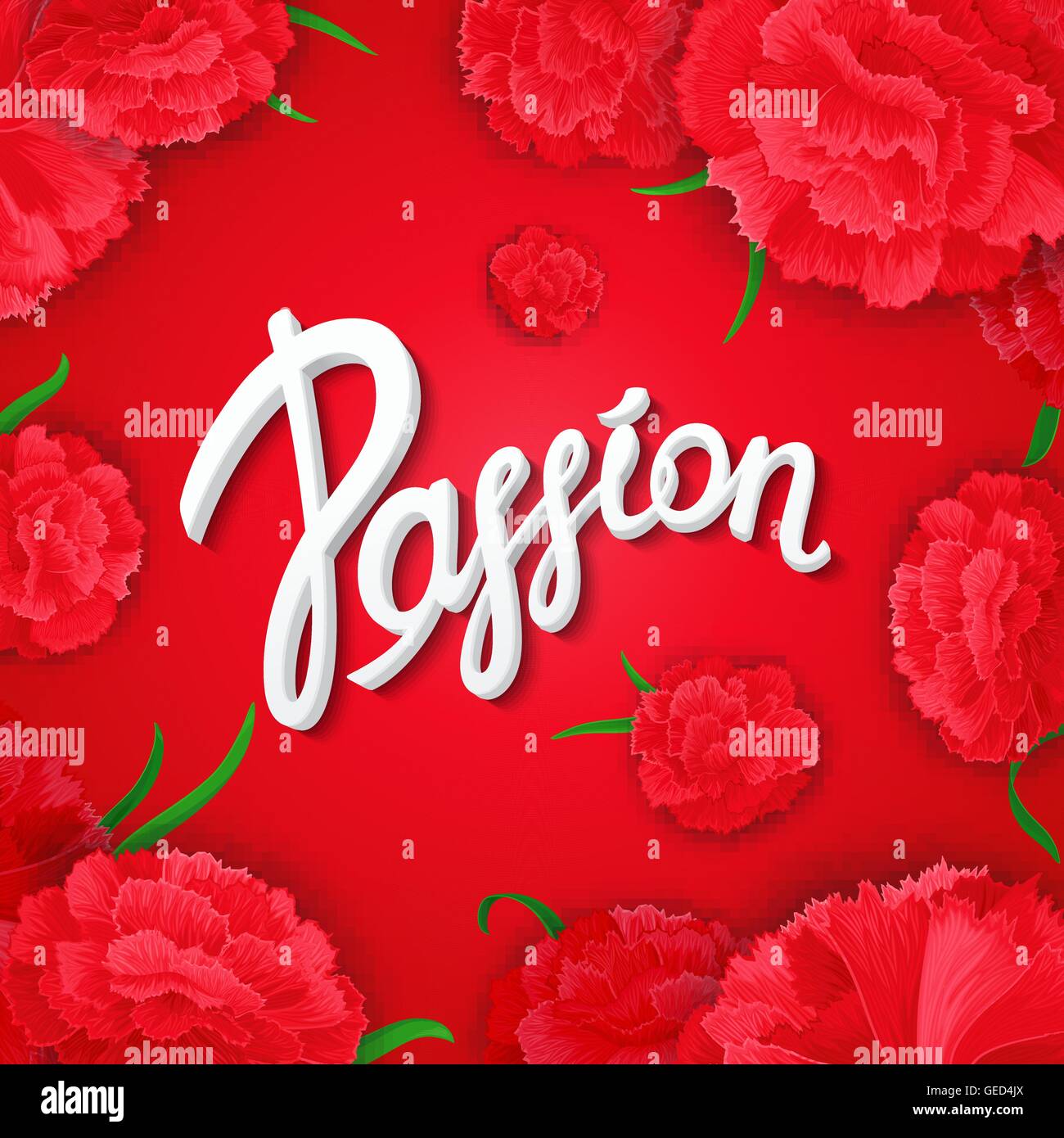Dianthus passion hi-res stock photography and images - Alamy