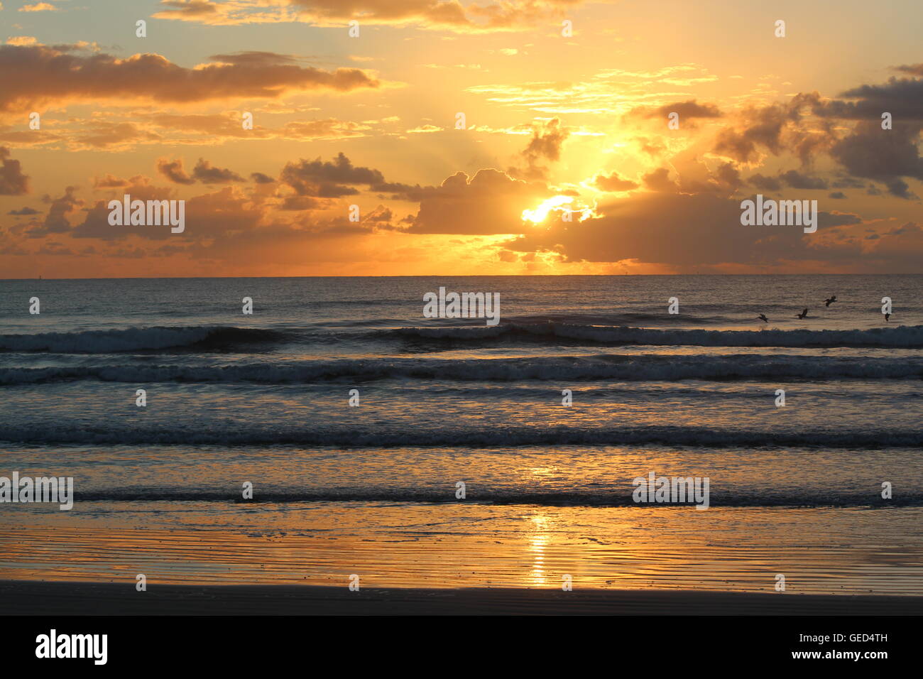 Florida vacations hi-res stock photography and images - Alamy