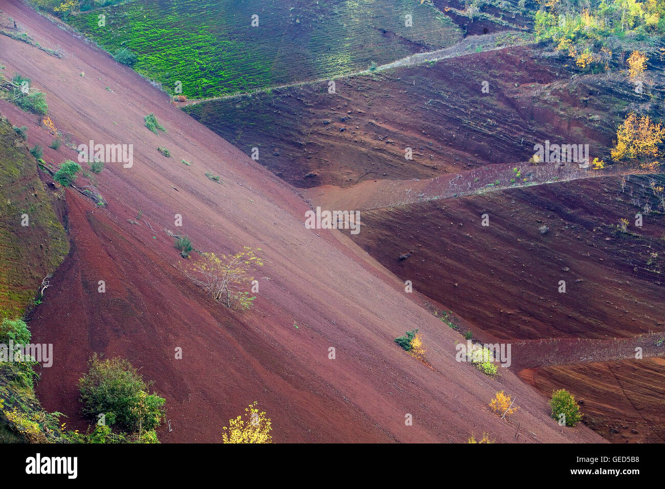 Detail of Croscat volcano,Garrotxa Natural Park,Girona province ...