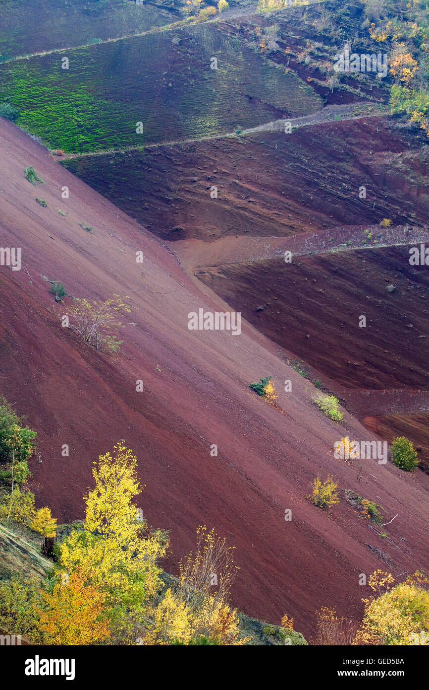 Detail of Croscat volcano,Garrotxa Natural Park,Girona province ...