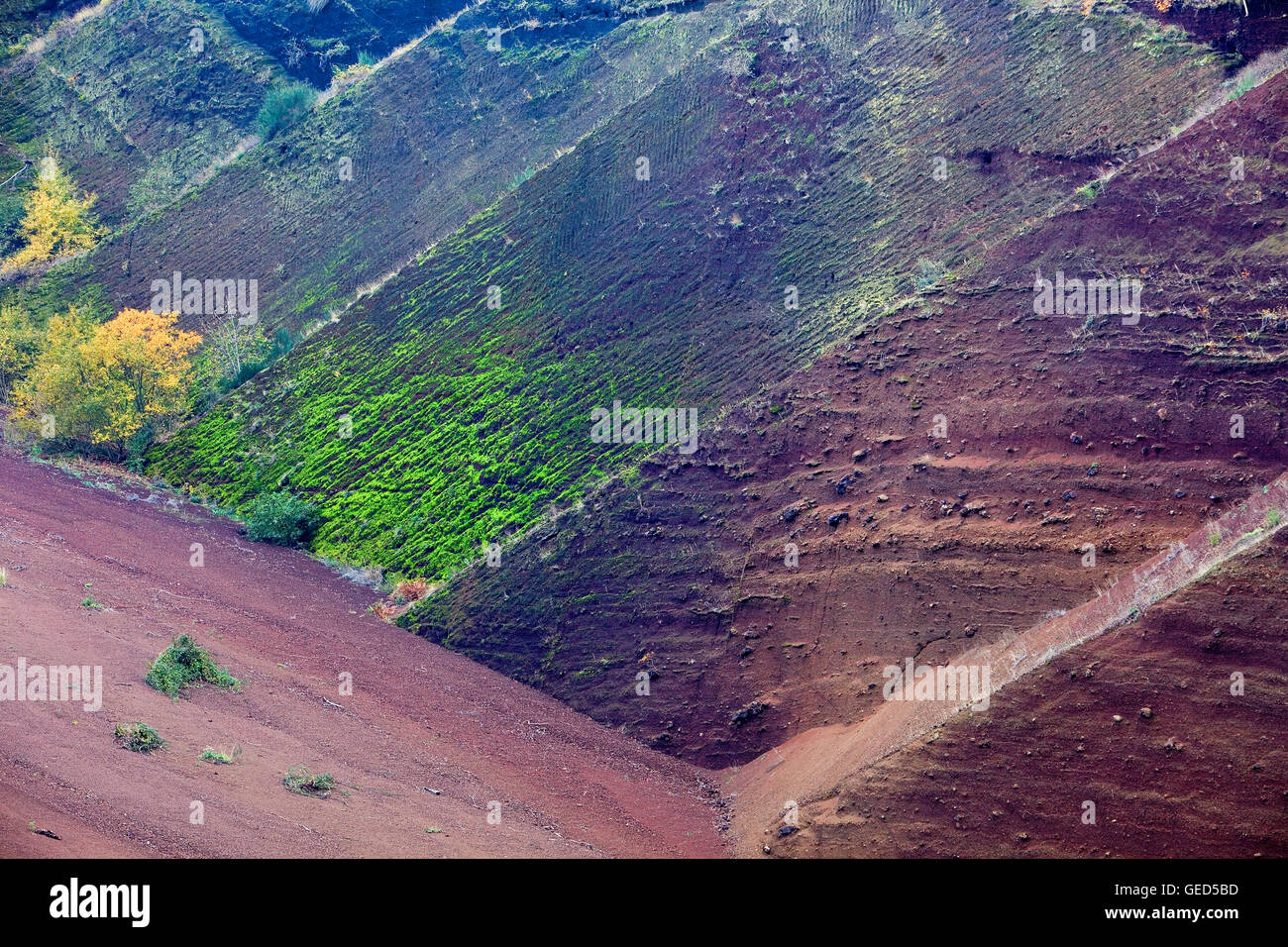 Detail of Croscat volcano,Garrotxa Natural Park,Girona province ...