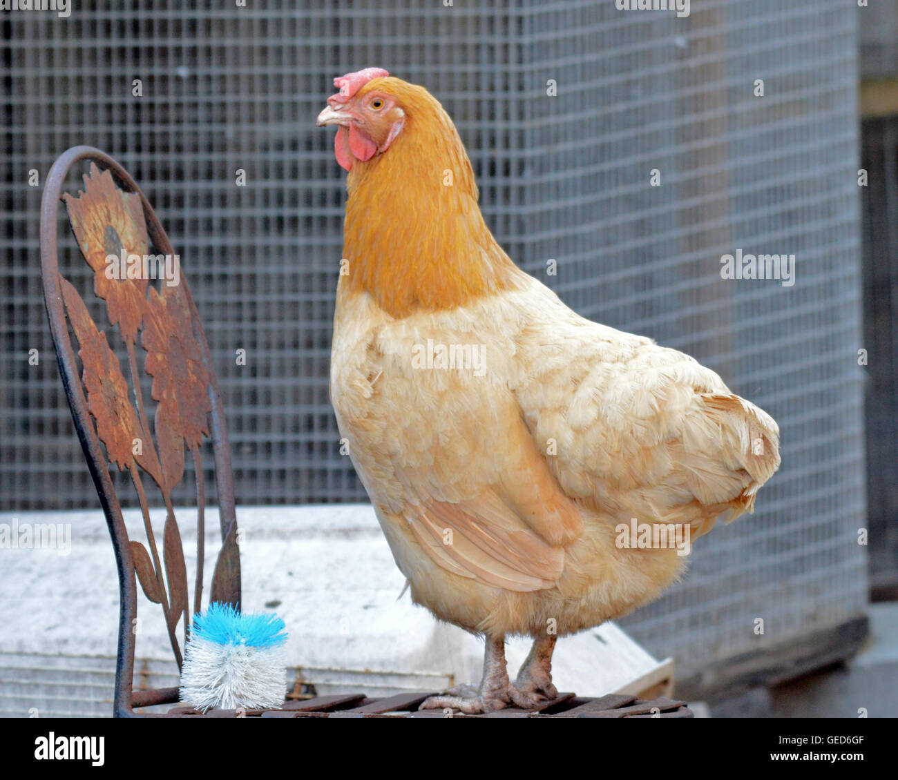 Free chair hi-res stock photography and images - Alamy