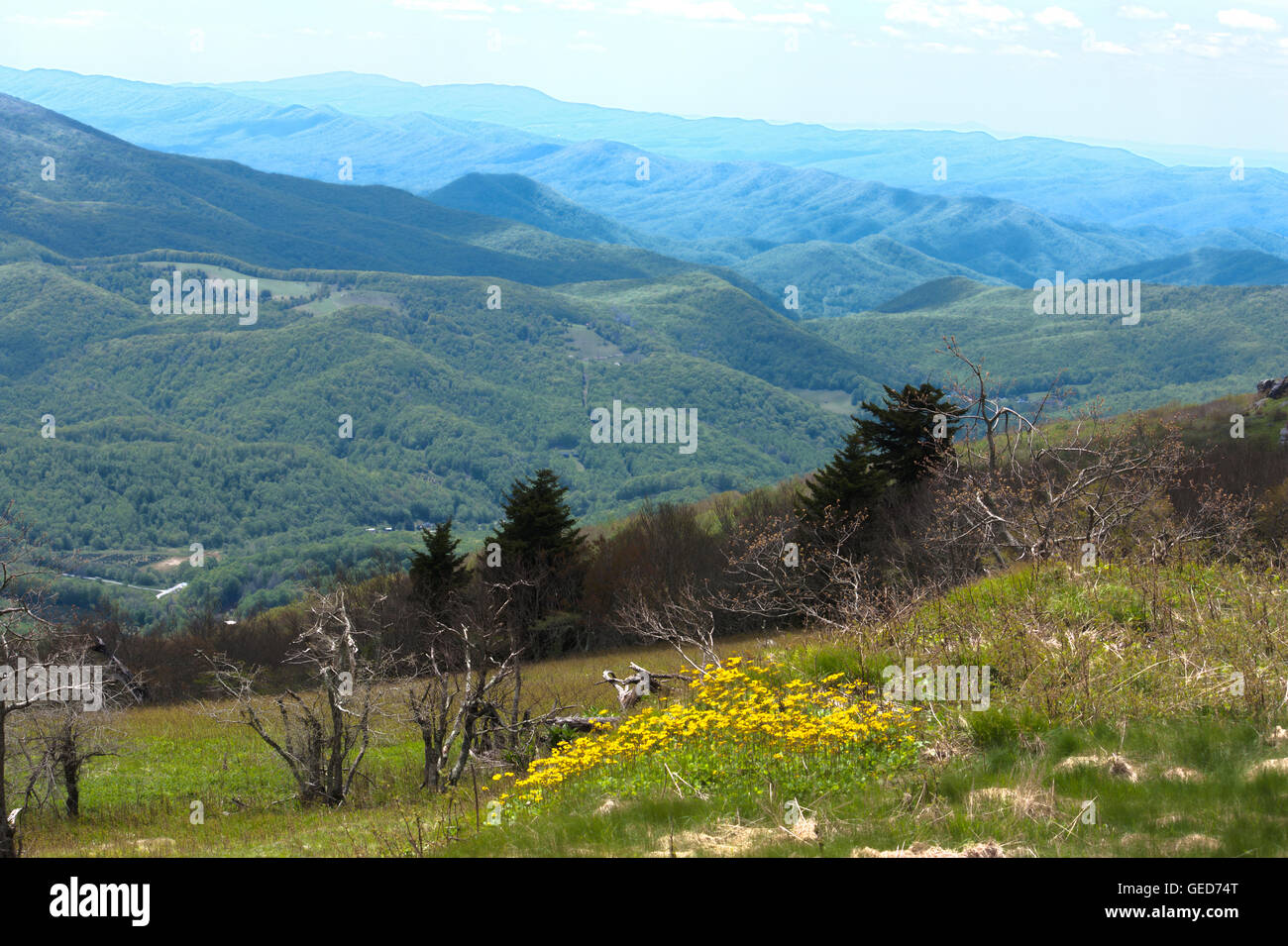 Blue ridge mountains hi-res stock photography and images - Alamy