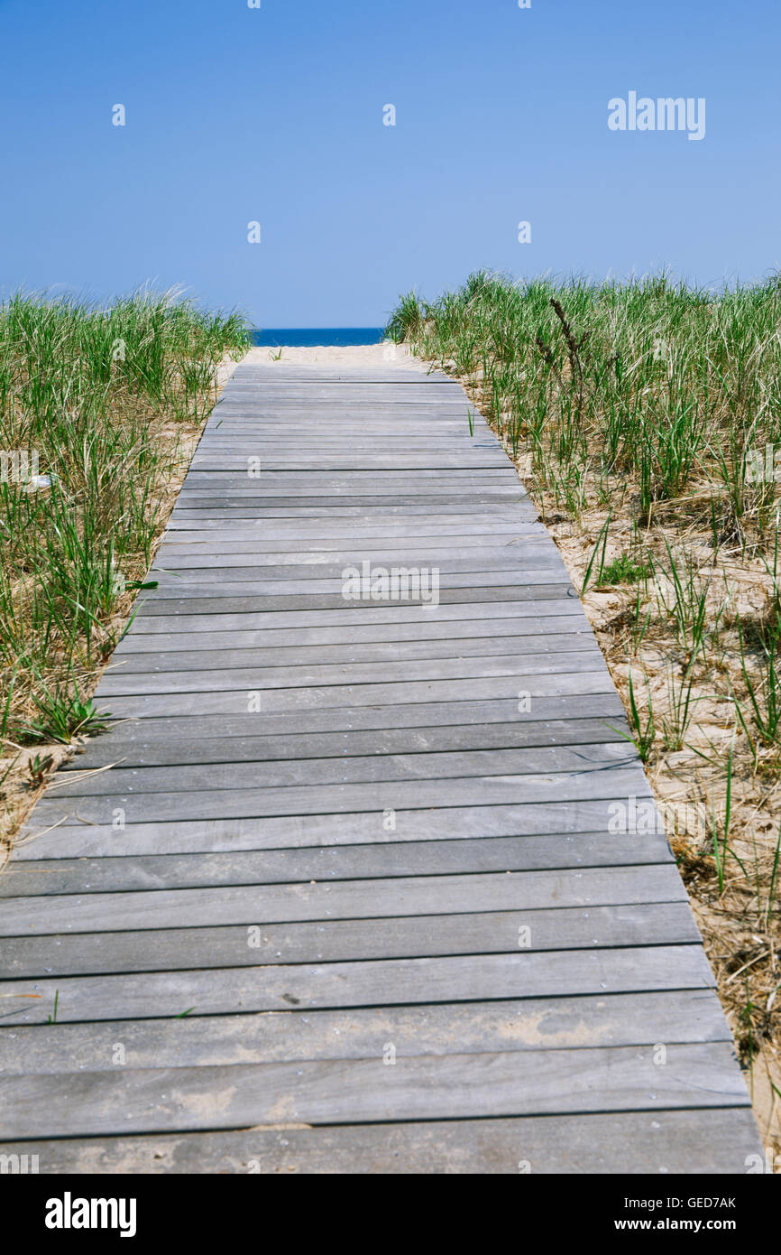 Wooden walkway leading to beach on Martha's Vineyard, Massachusetts ...