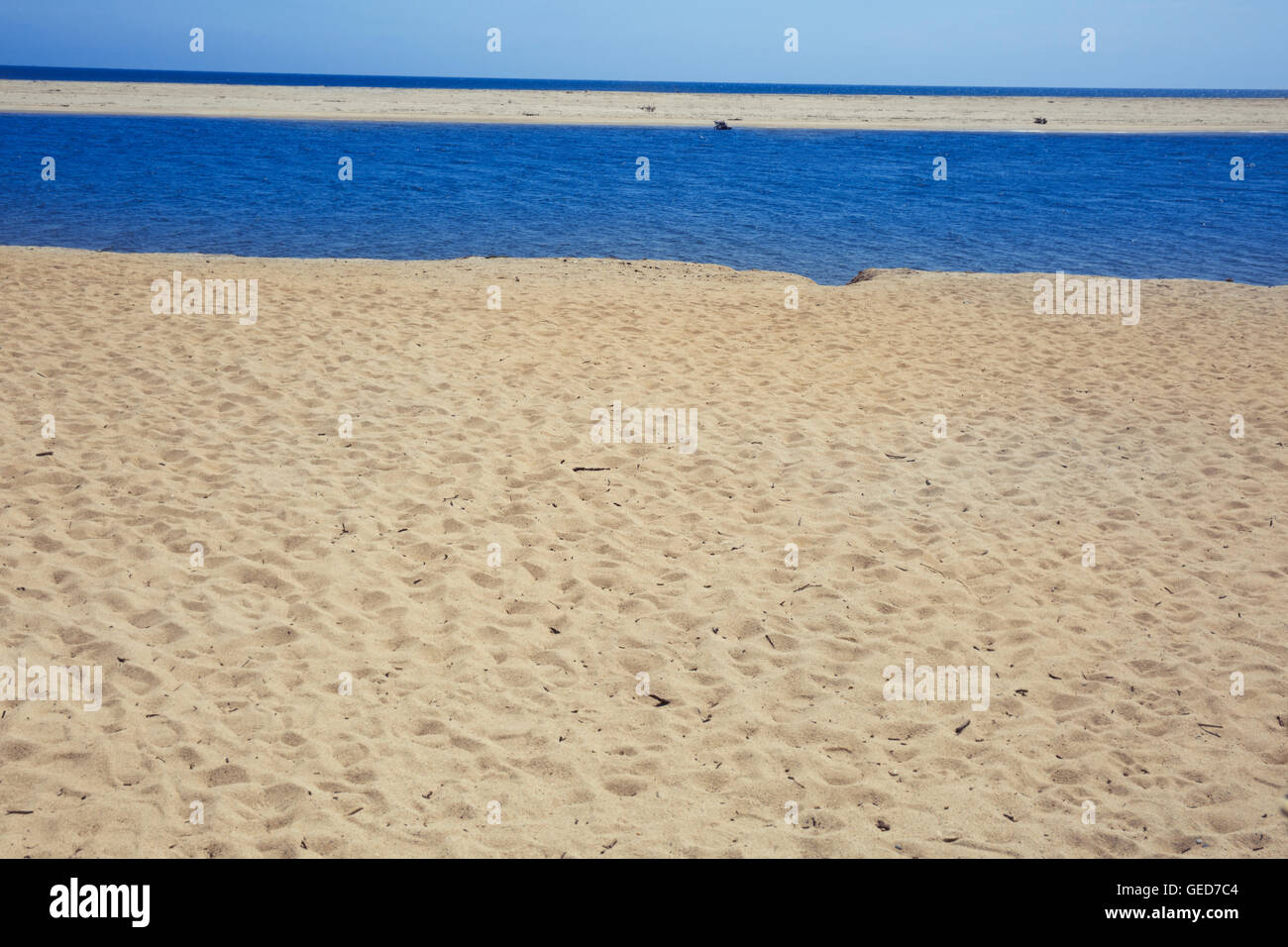 Chappaquiddick beach in Massachusetts Stock Photo - Alamy