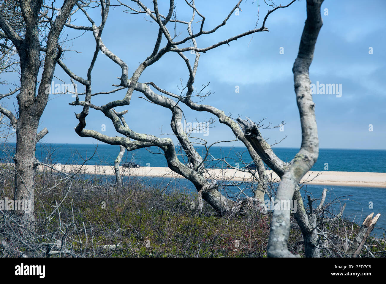 Chappaquiddick island martha's vineyard hi-res stock photography and ...