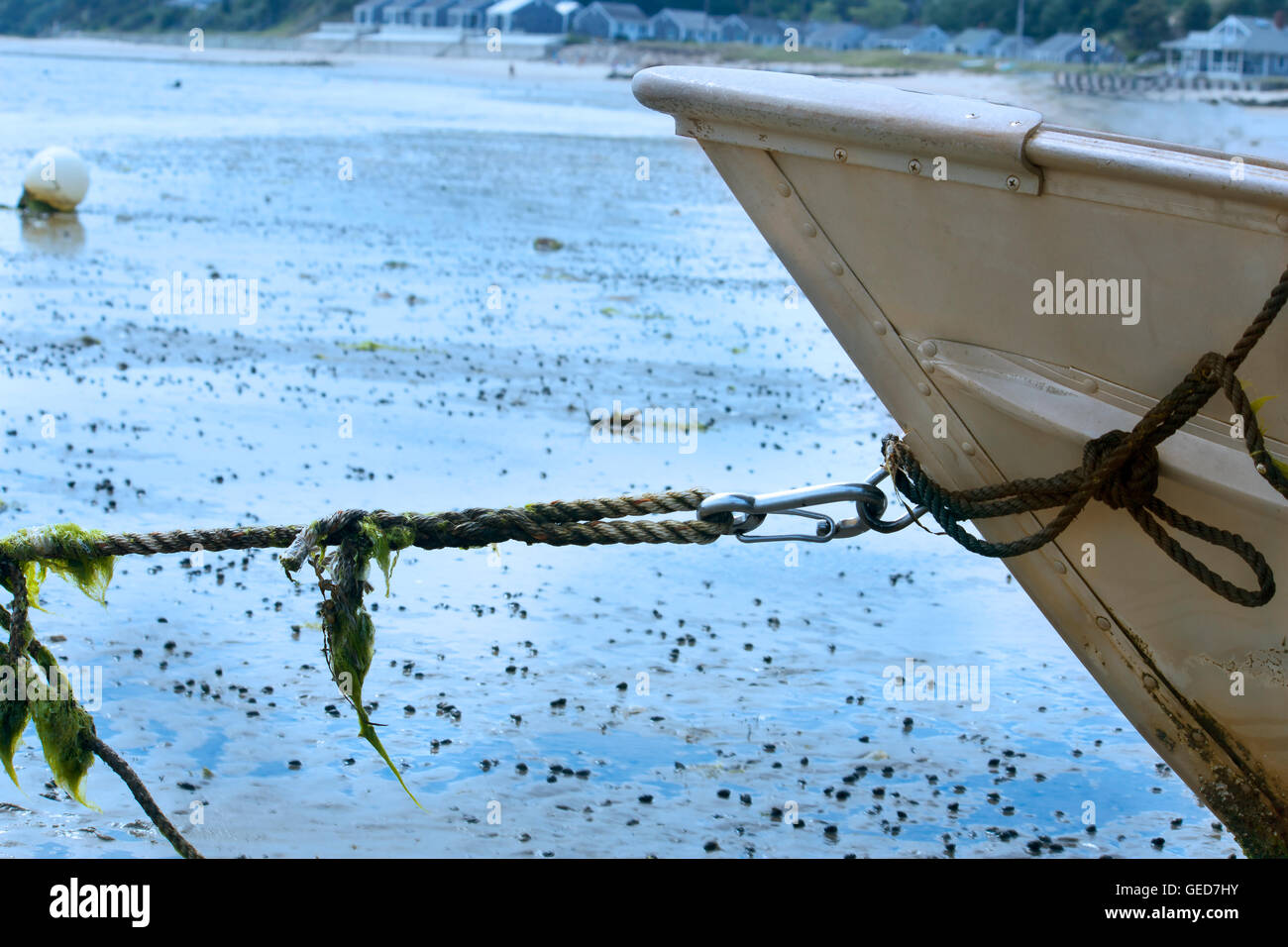 Boat tied in Wellfleet harbor in Wellfleet, Massachusetts on Cape Cod ...