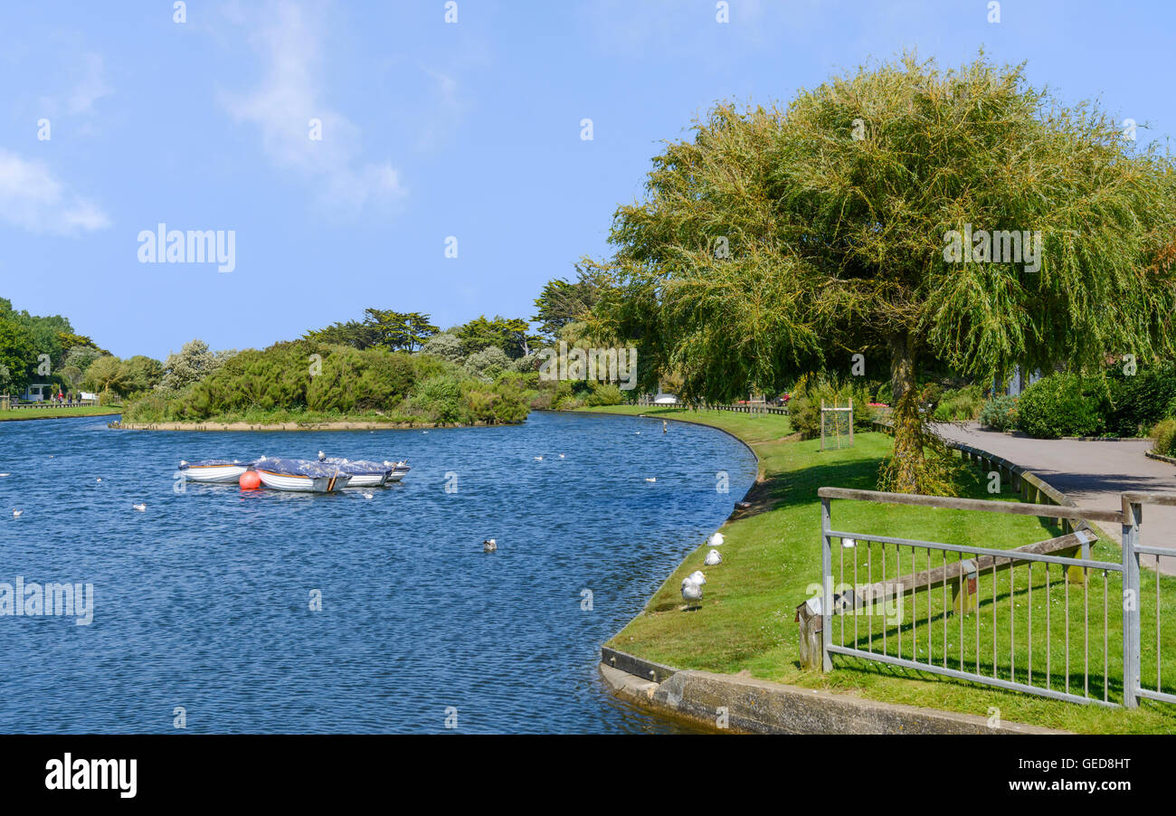 Summer in a park hi-res stock photography and images - Alamy