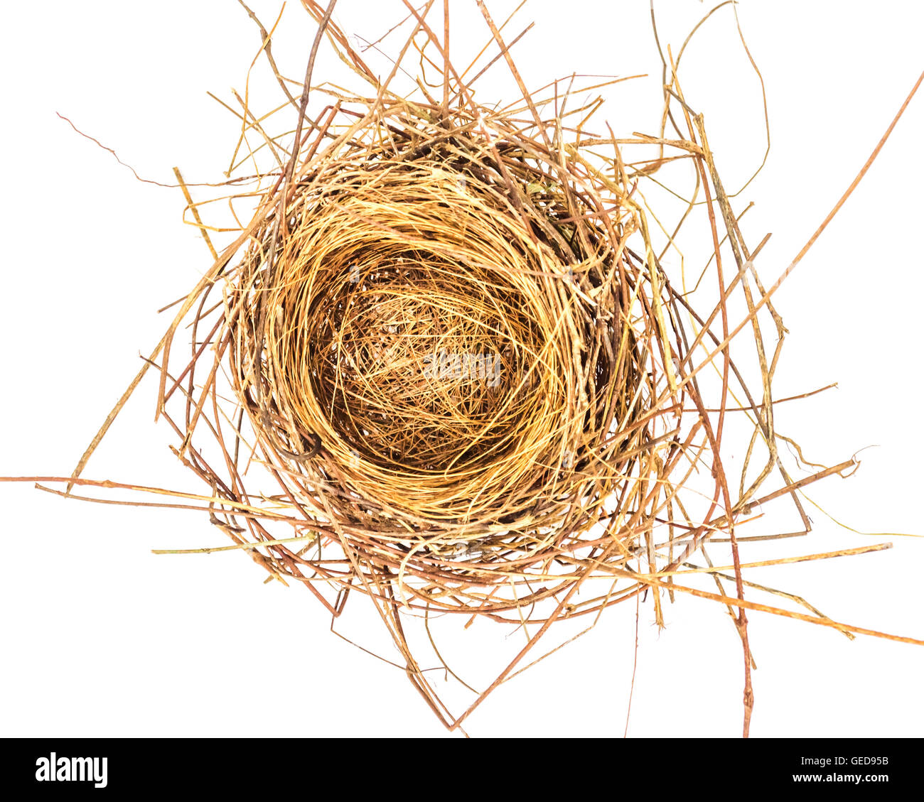 Empty bird nest hi-res stock photography and images - Alamy