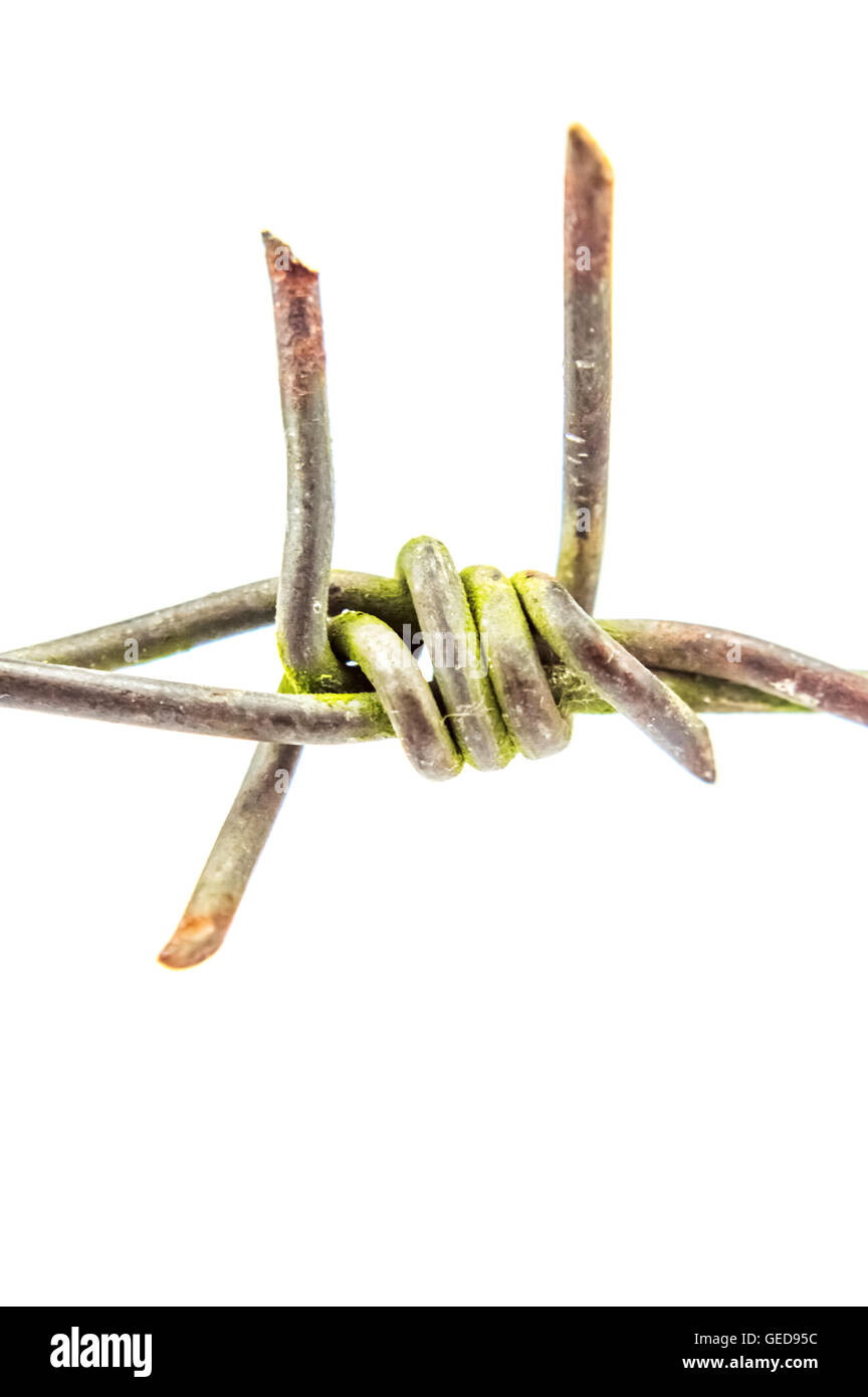 Barbed wire knot hi-res stock photography and images - Alamy