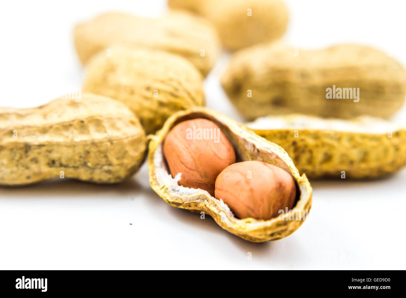 Peanut pod arachis isolated on hi-res stock photography and images - Alamy