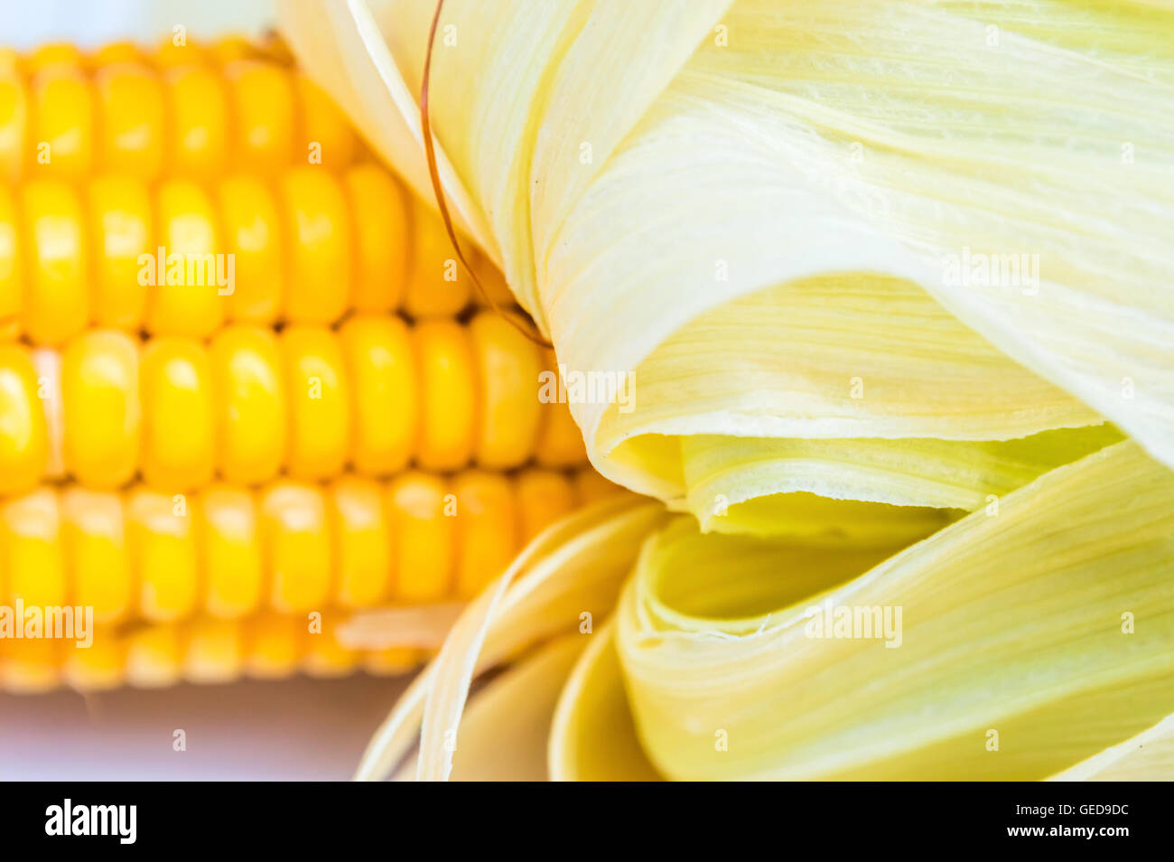 Corn cone hi-res stock photography and images - Alamy
