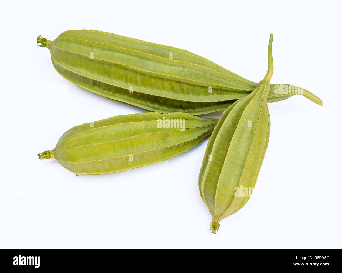 Ridged gourd vine hi-res stock photography and images - Alamy