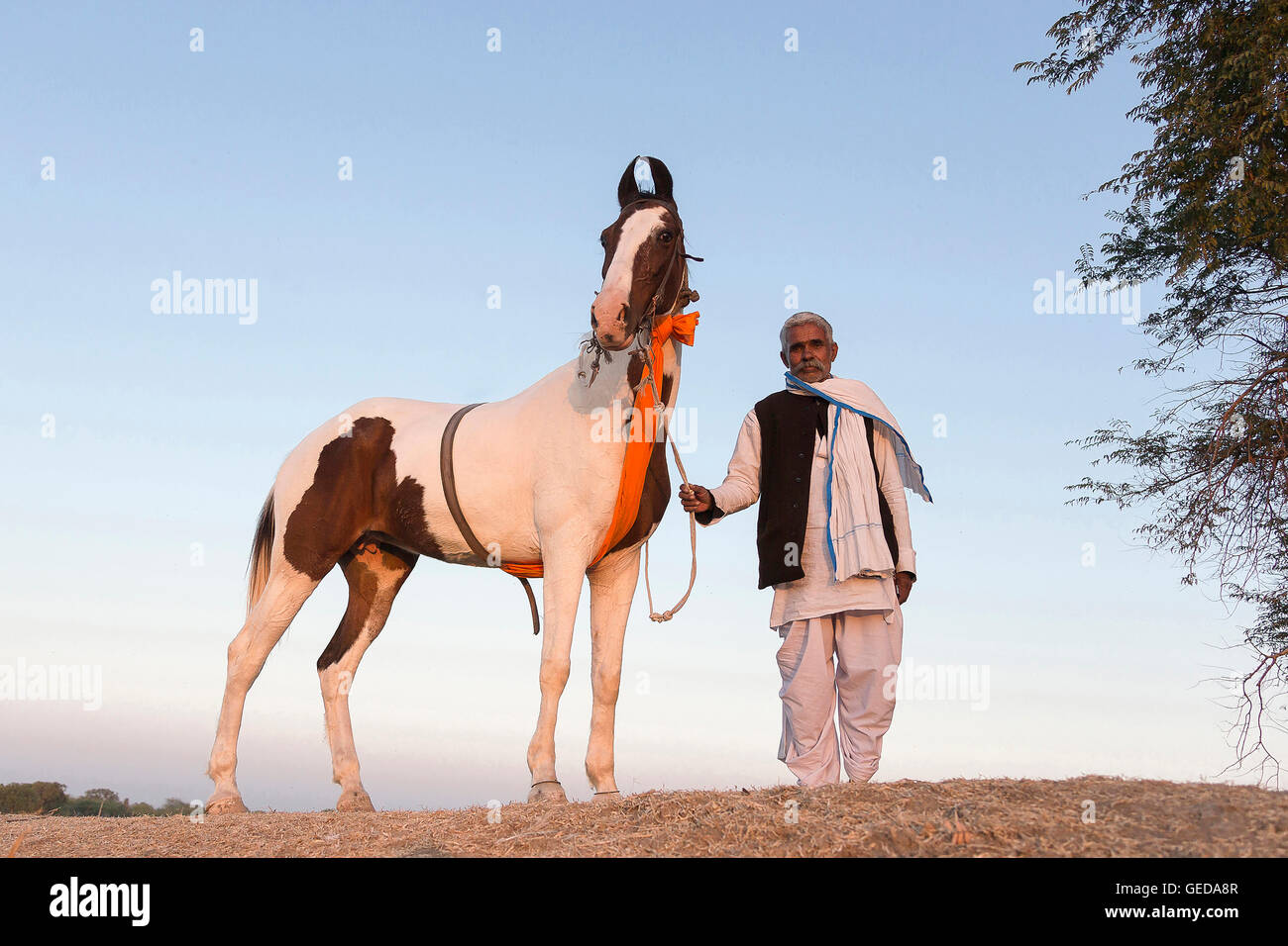 Man Standing Next Horse High Resolution Stock Photography and Images ...