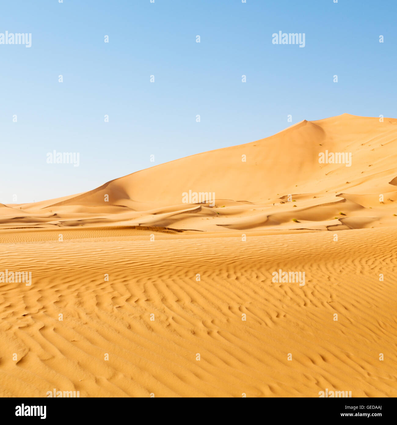 the empty quarter and outdoor sand dune in oman old desert rub al khali ...